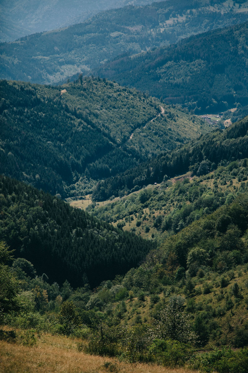 Randonnée dans le massif des Vosges : 3 jours sur le GR5