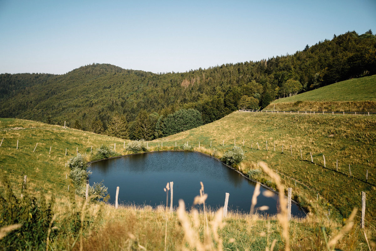 Randonnée dans le massif des Vosges : 3 jours sur le GR5