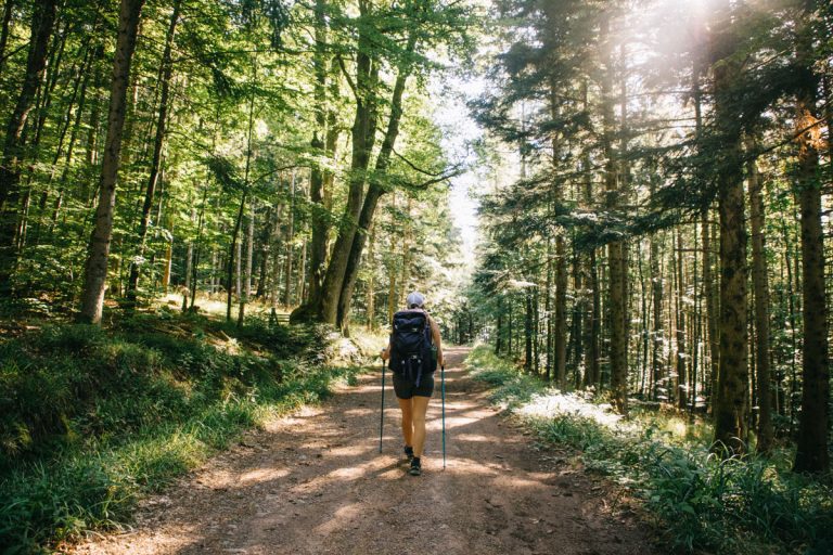 Randonnée dans le massif des Vosges : 3 jours sur le GR5