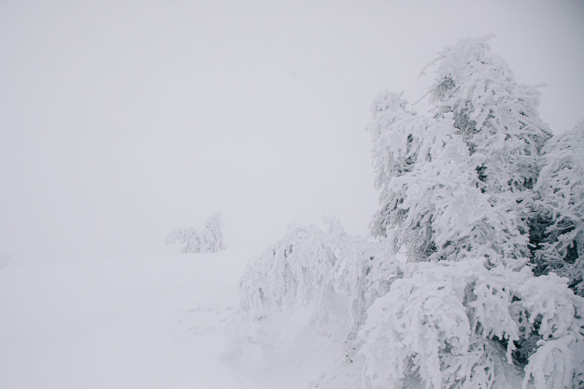 Faire du ski et des raquettes au Markstein dans le massif des Vosges