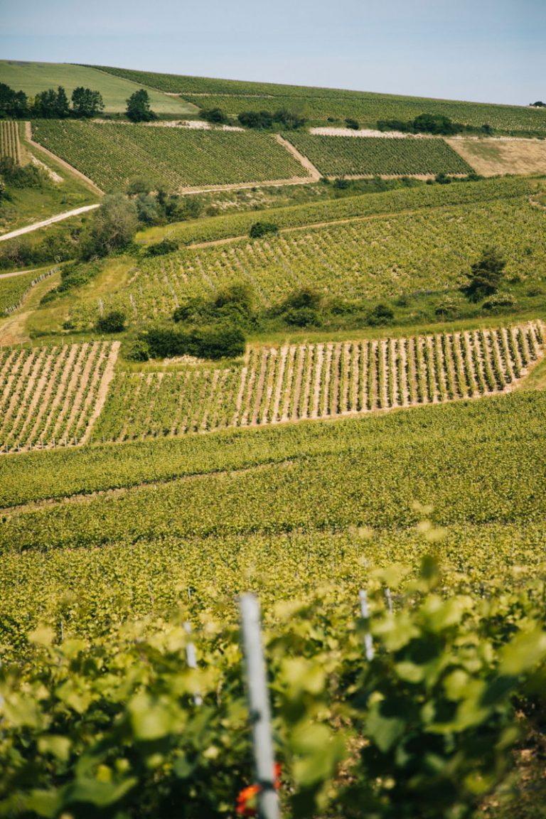 Découvrir la côte des Bar et la route du champagne