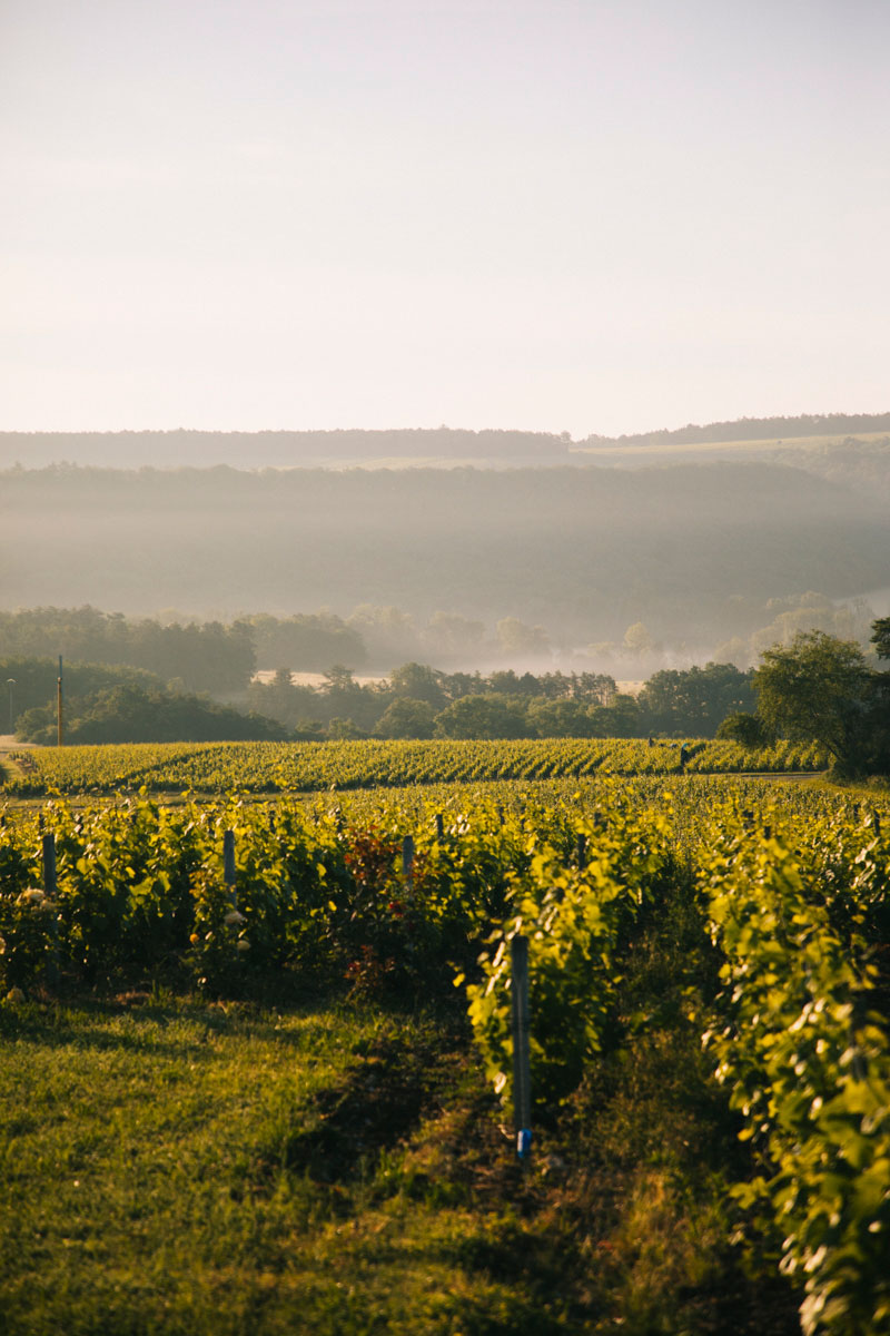 Découvrir la côte des Bar et la route du champagne
