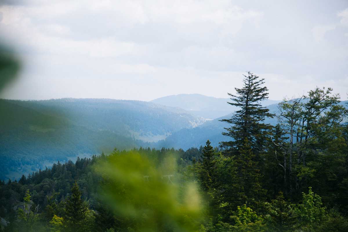Découvrir le pays de Gex, la nature autour de Genève